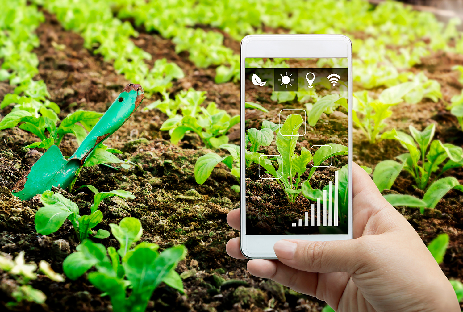 What is Smart Gardening? - The Durkovic Group