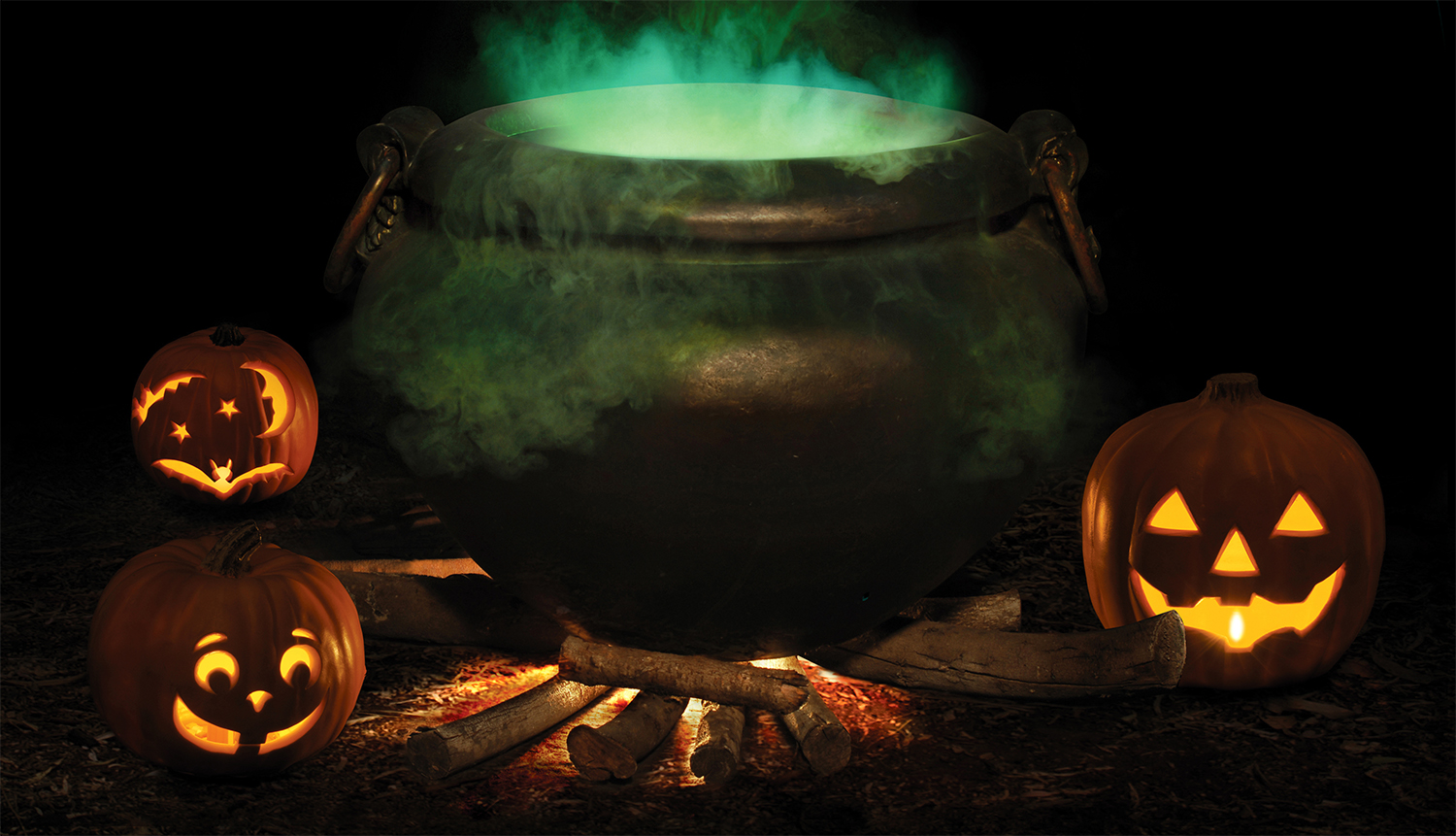 Carved at Descanso Gardens: The Magic Returns in 2024 - The Durkovic Group